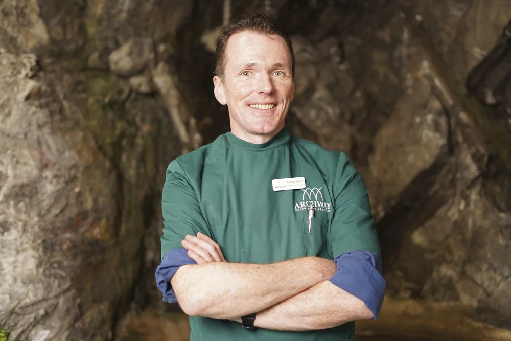 Our Team — Archway Veterinary Practice