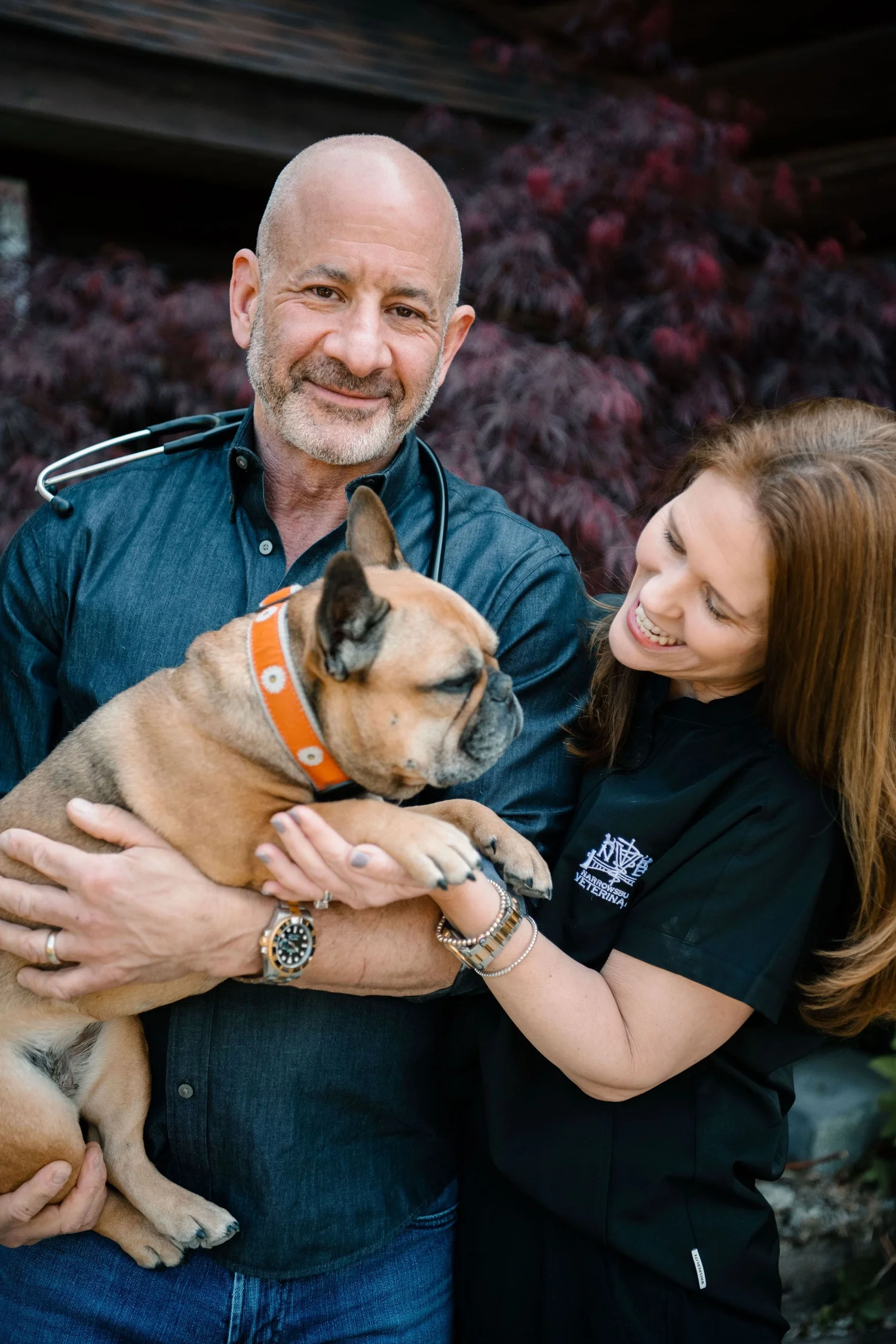 Your Local Animal Hospital | Narrowsburg Veterinary