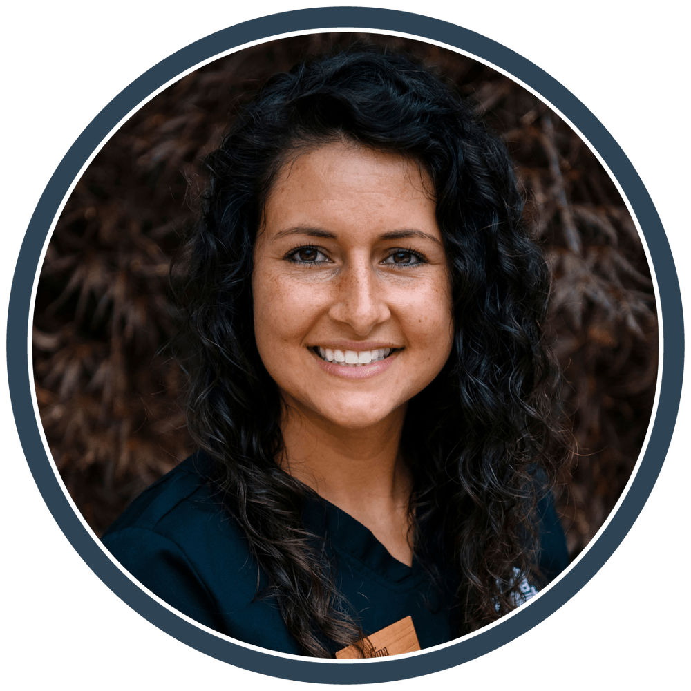 Meet Your Local New York Animal Doctor | Narrowsburg Veterinary
