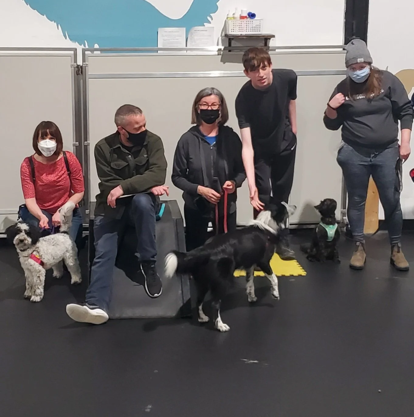 About — Liam the Dog Trainer