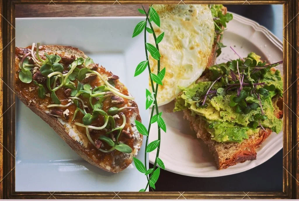 About | Vertical Farm — Solrig Farm