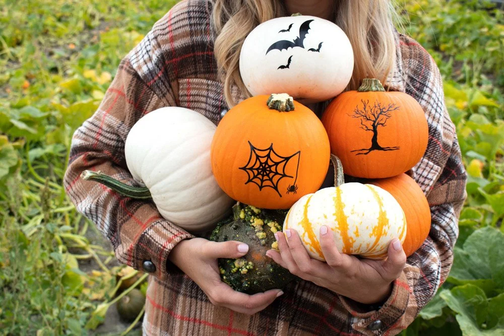 Joyco Digital | Bellingham Marketing, PR, and Design