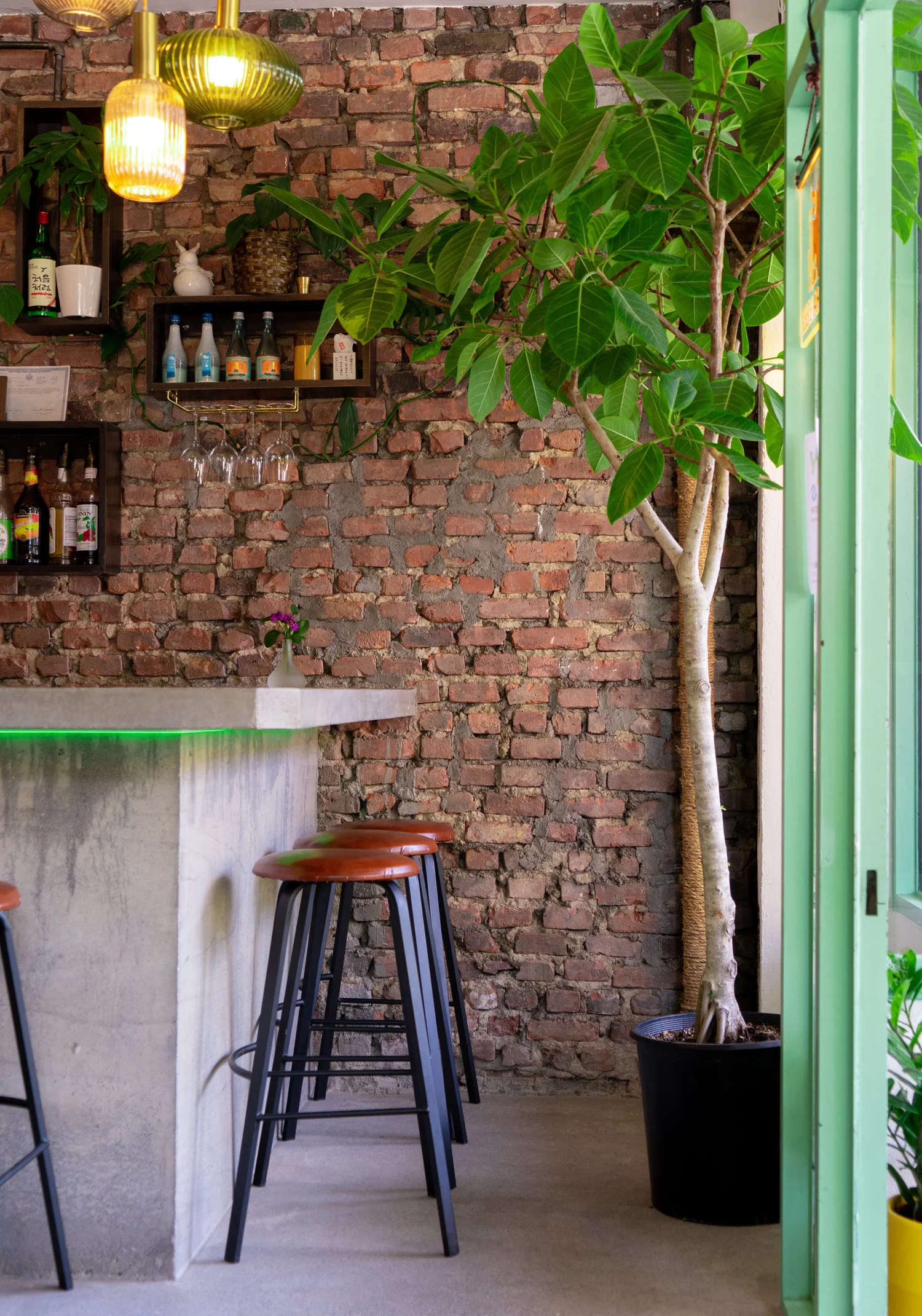 Plue Thai Kitchen