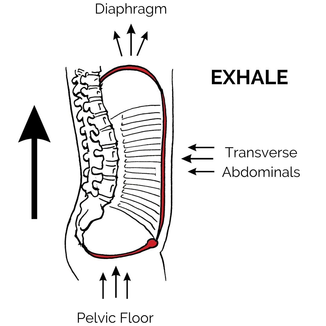 3 Seated Pelvic Floor Lifts — Kim West Wellness Website