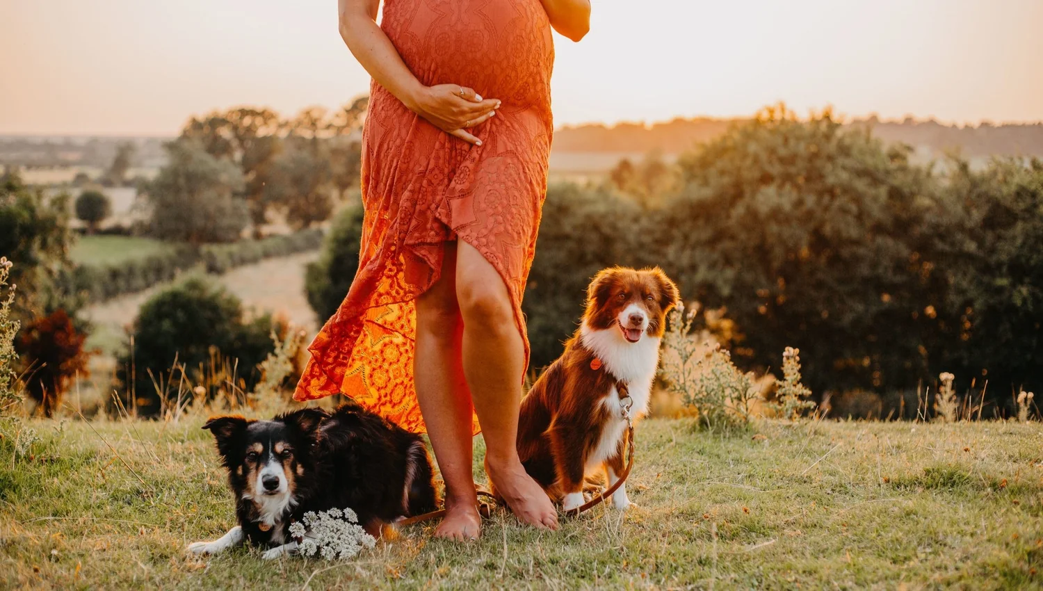 Family portfolio — Constance Doyle Photography