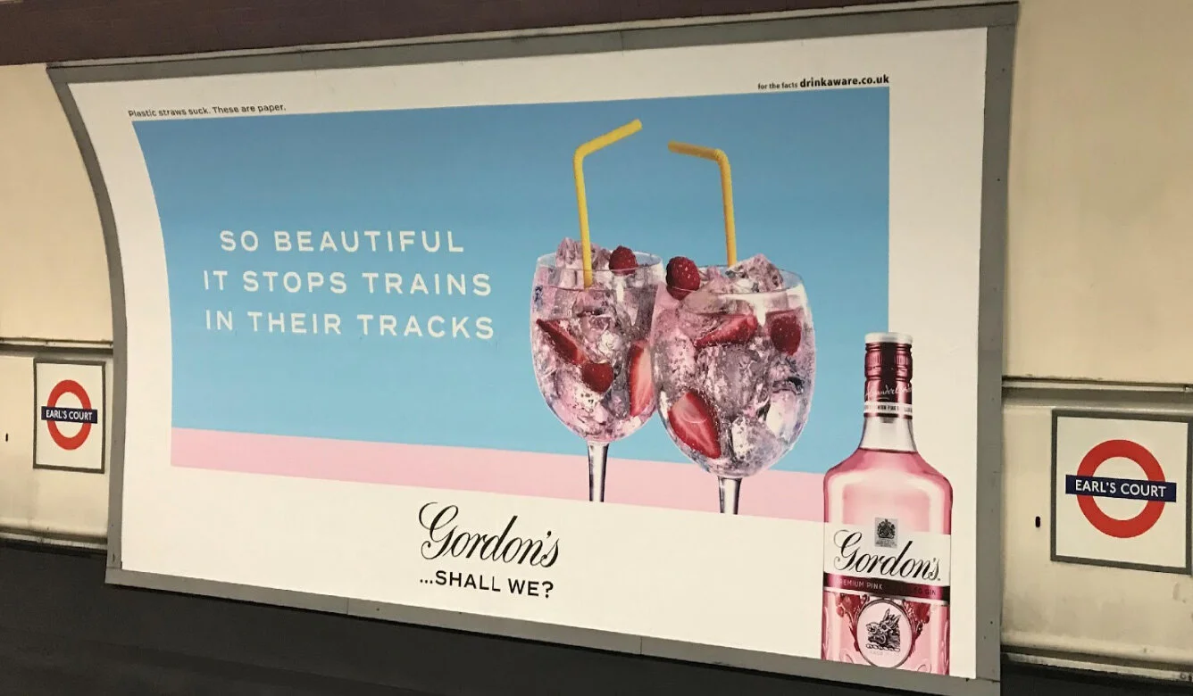 Gordon's: Shall We? — SARAH + MATT