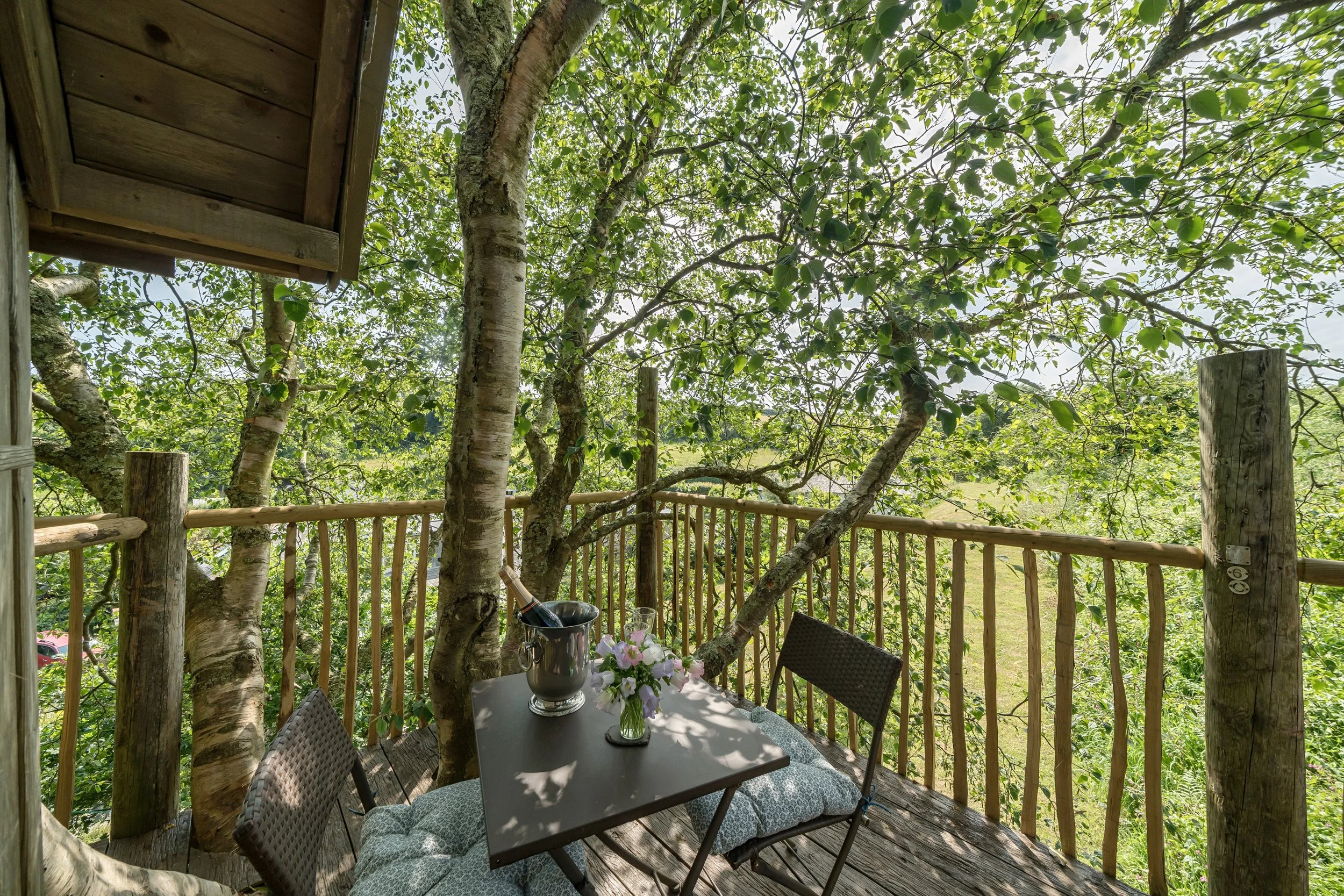 The Treehouse at Salcombe Farm — Salcombe No.1