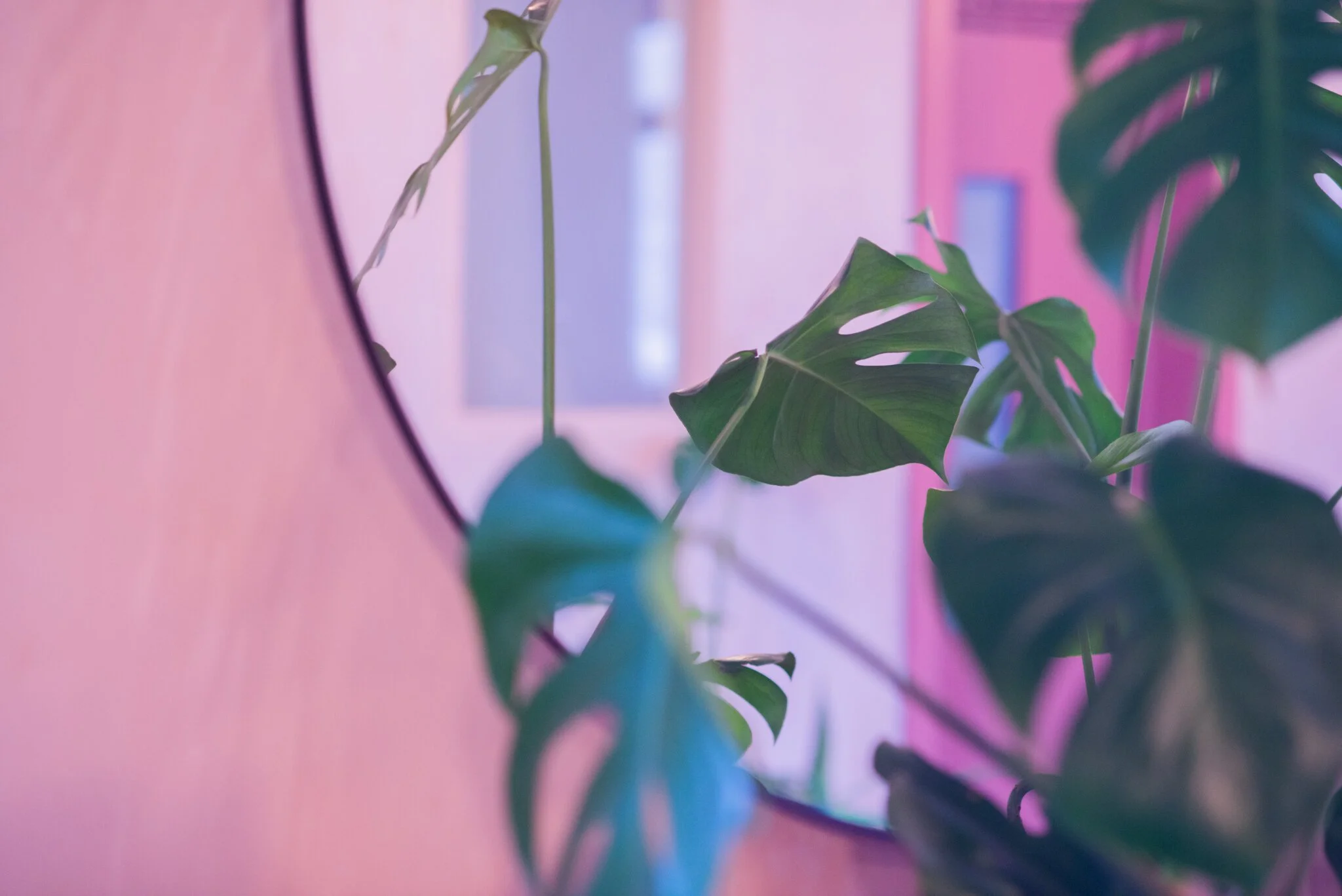 Coworking space, fixed desks + hotdesks | Dulwich | Oru Space