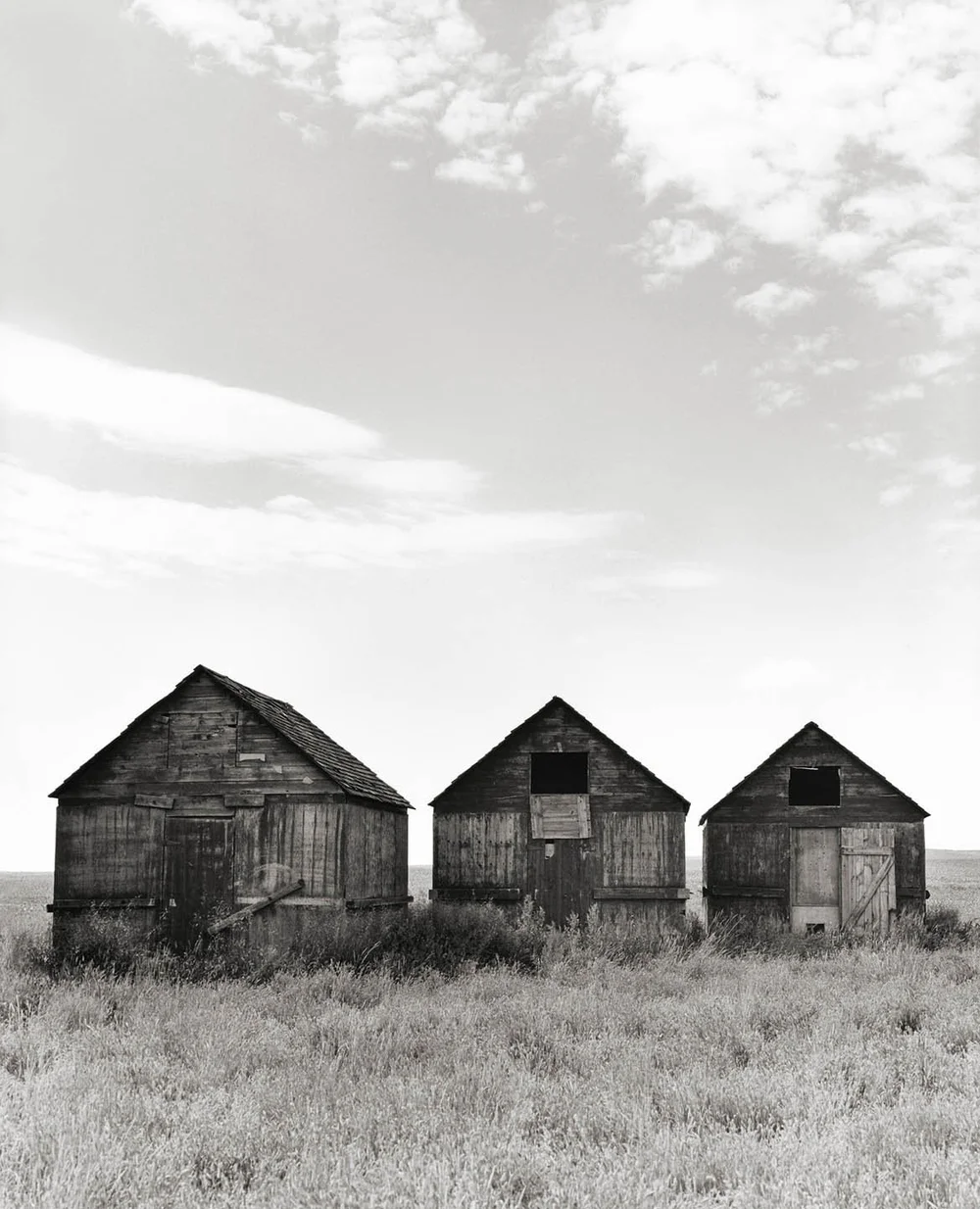 RICHARD PHIBBS FINE ART