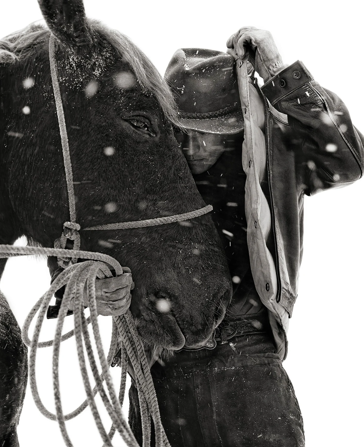 Western — RICHARD PHIBBS FINE ART