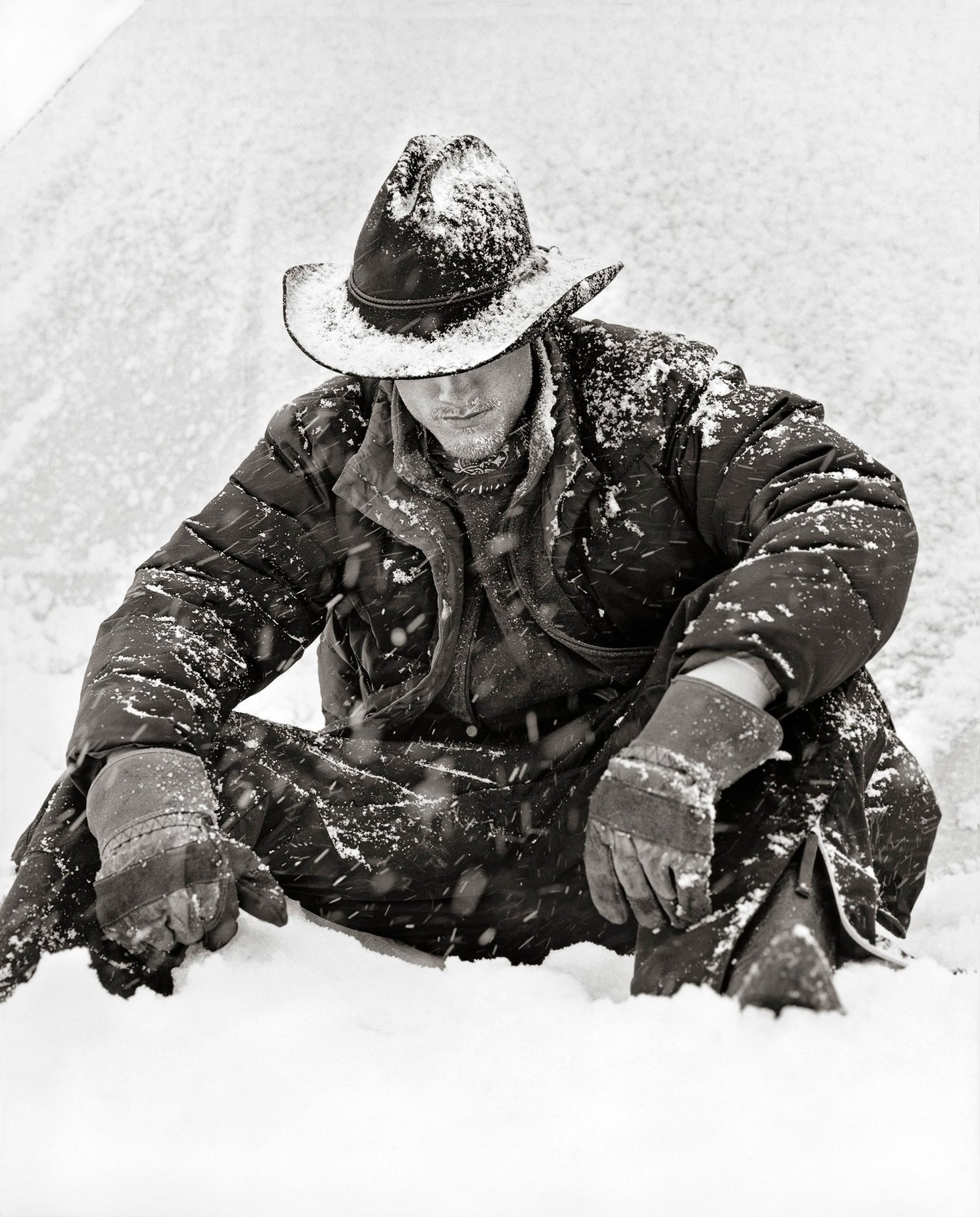 Western — RICHARD PHIBBS FINE ART