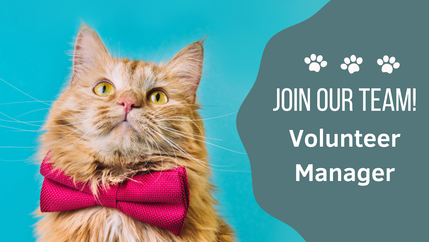 Join our team: Volunteer Manager — Ottawa Paw Pantry