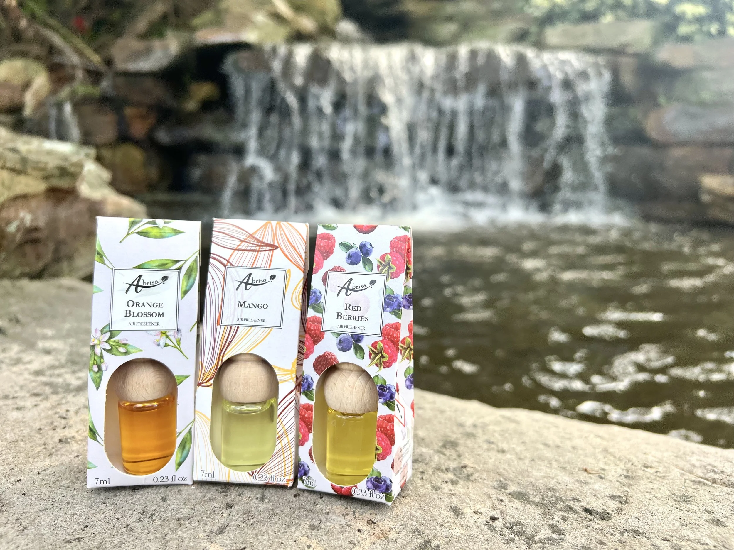 Festival — CarmelFest