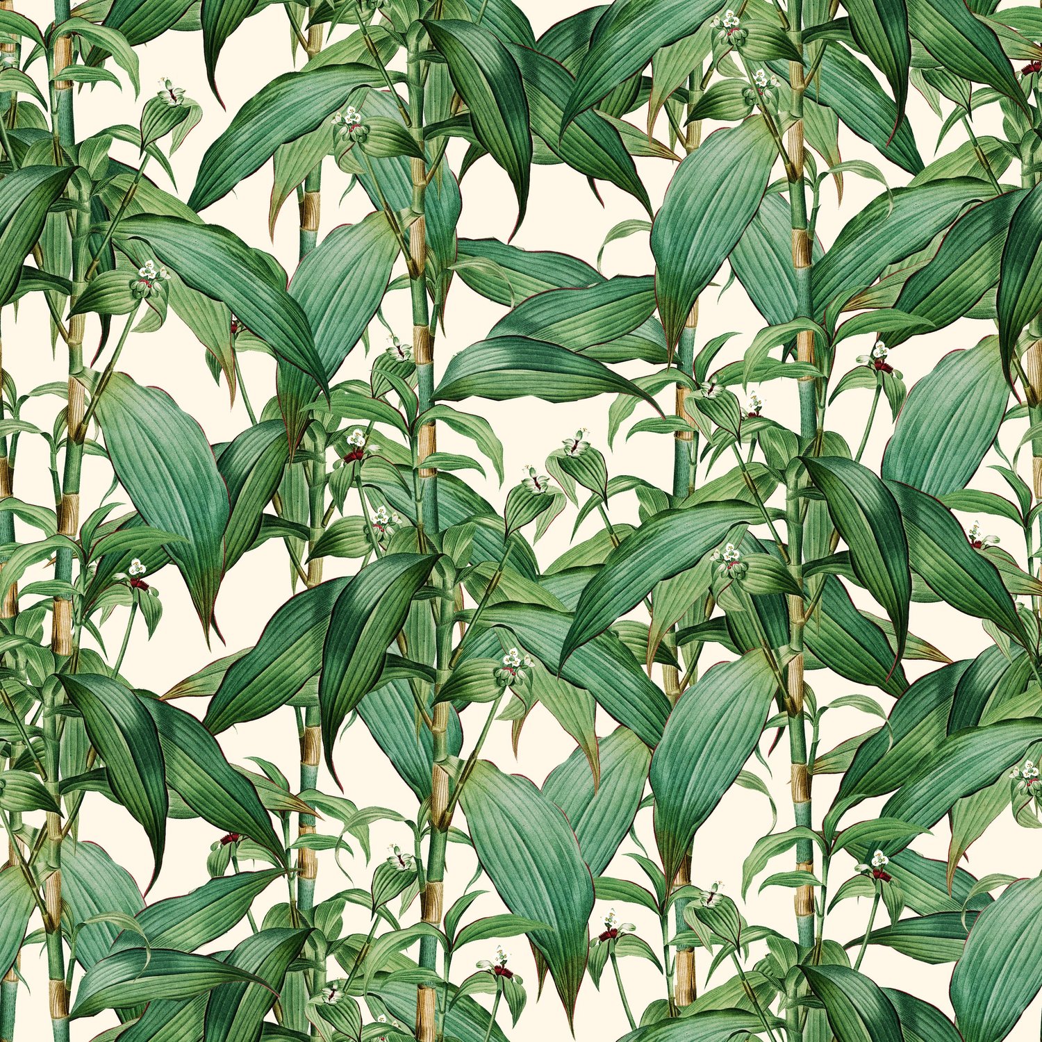 Norman Food Menu — Scratch Norman