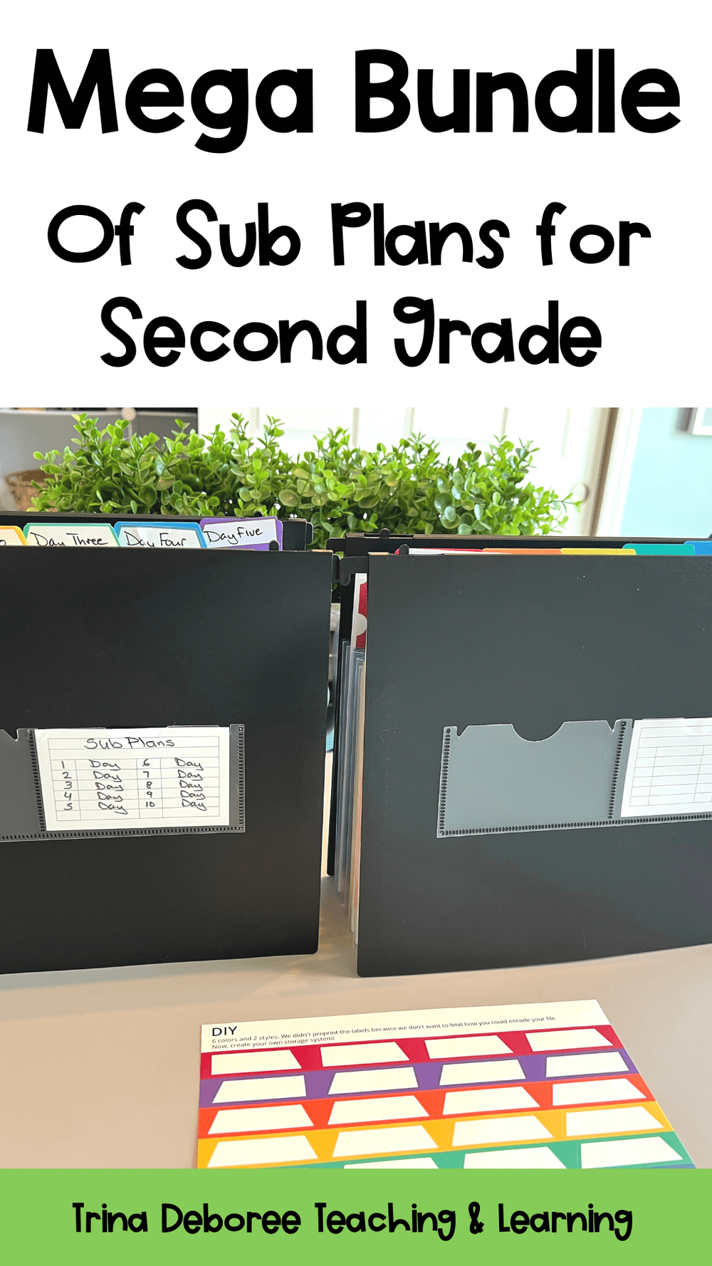 OTT 221 Ready, Set, Teach: Preparing Emergency Sub Plans in the ...