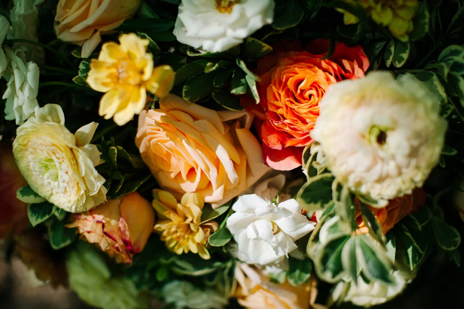 Ithaca Flower Delivery | Weddings | Houseplants | Gifts