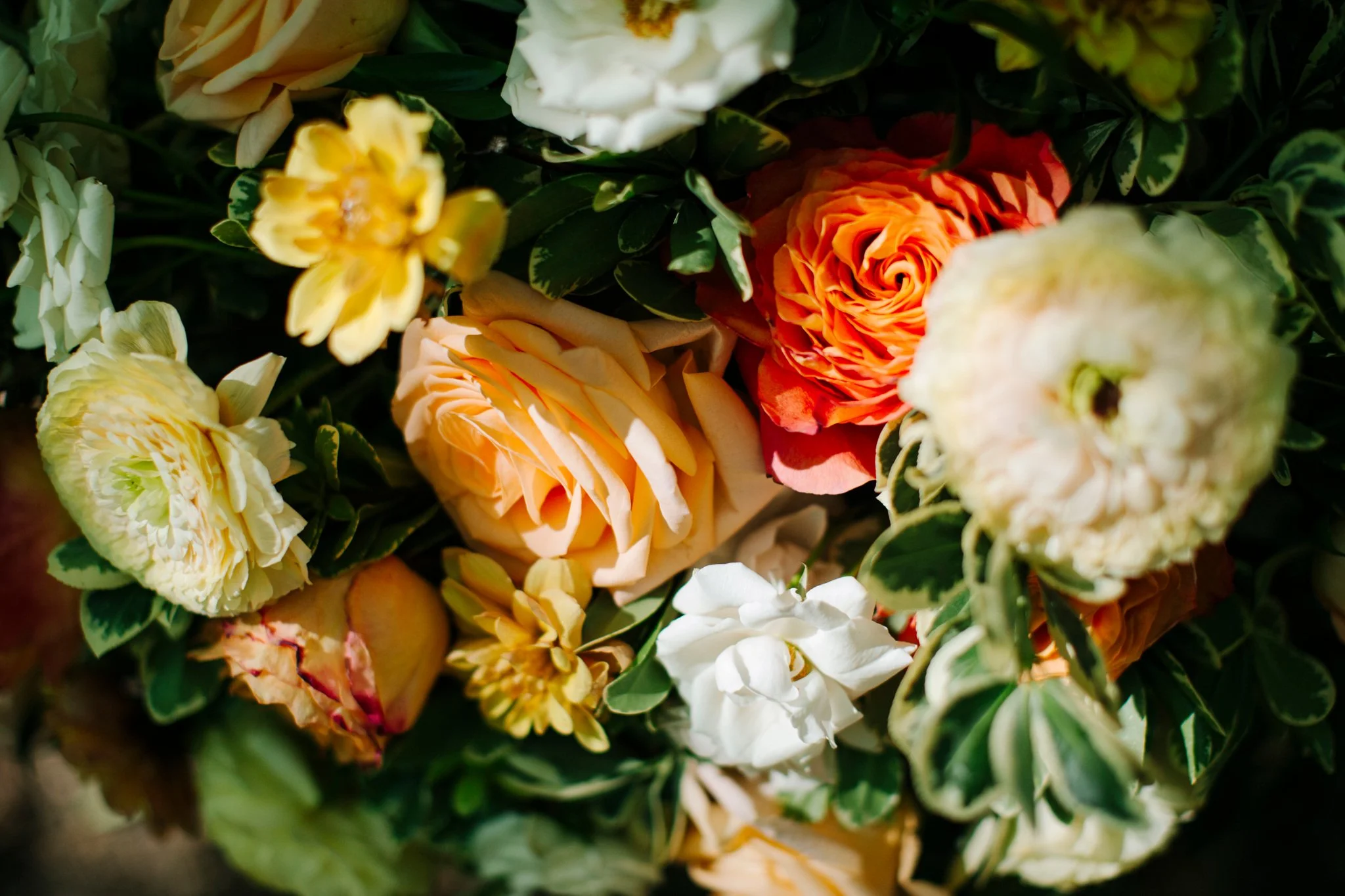 Ithaca Flower Delivery | Wedding Flowers | Houseplants | Gifts