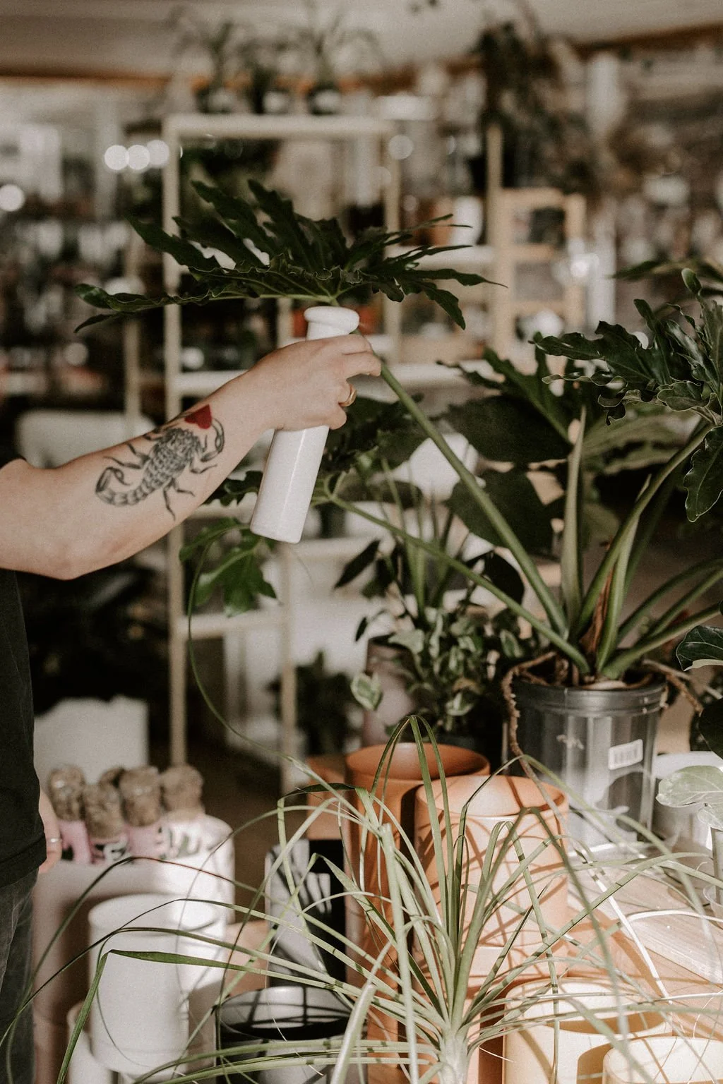 Ithaca Flower Delivery | Weddings | Houseplants | Gifts