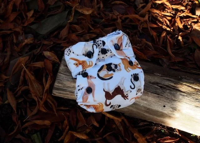 Understanding Different Types Of Nappies: Pros & Cons