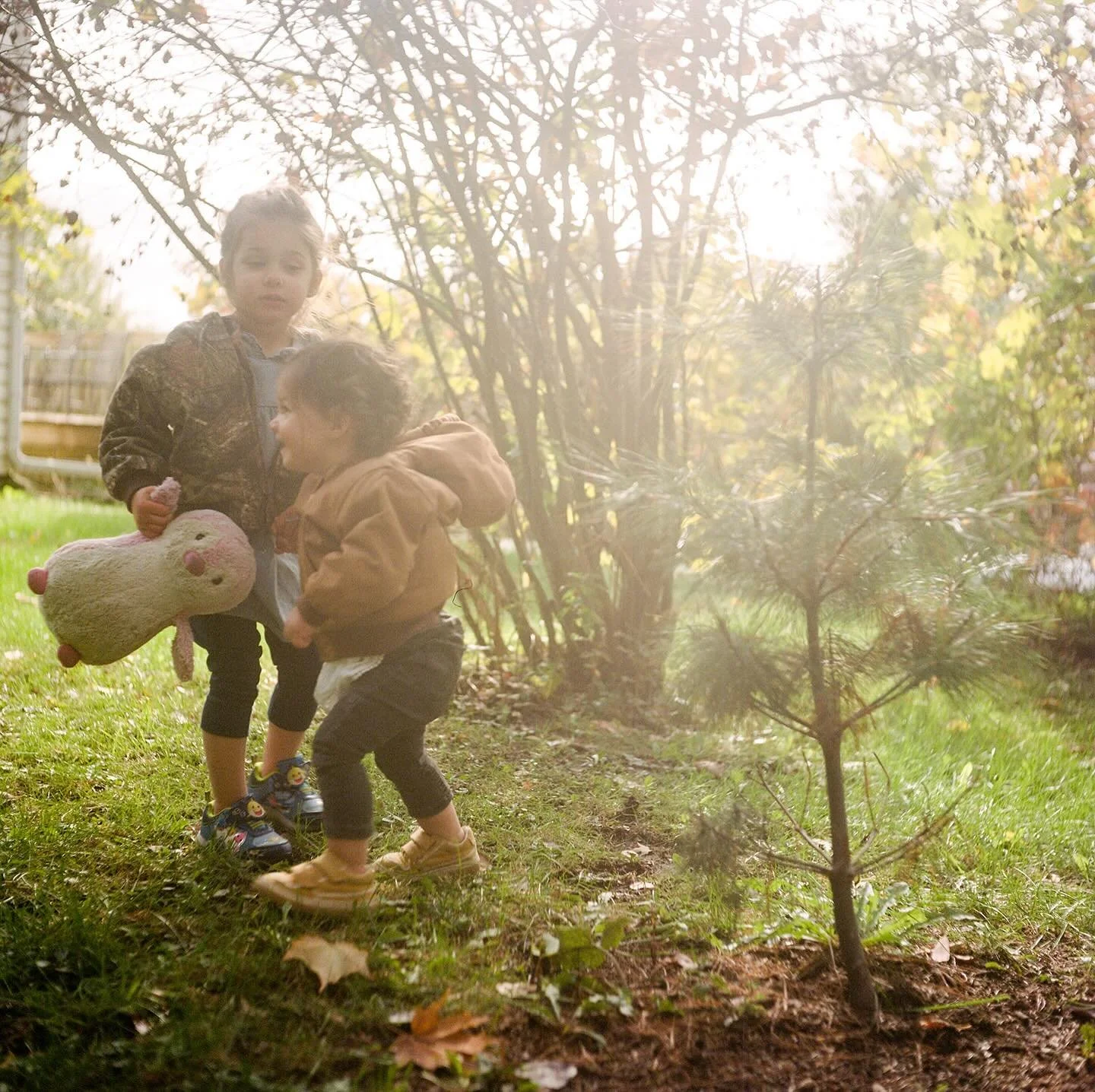 Danielle Dolan - Film Wedding Photographer