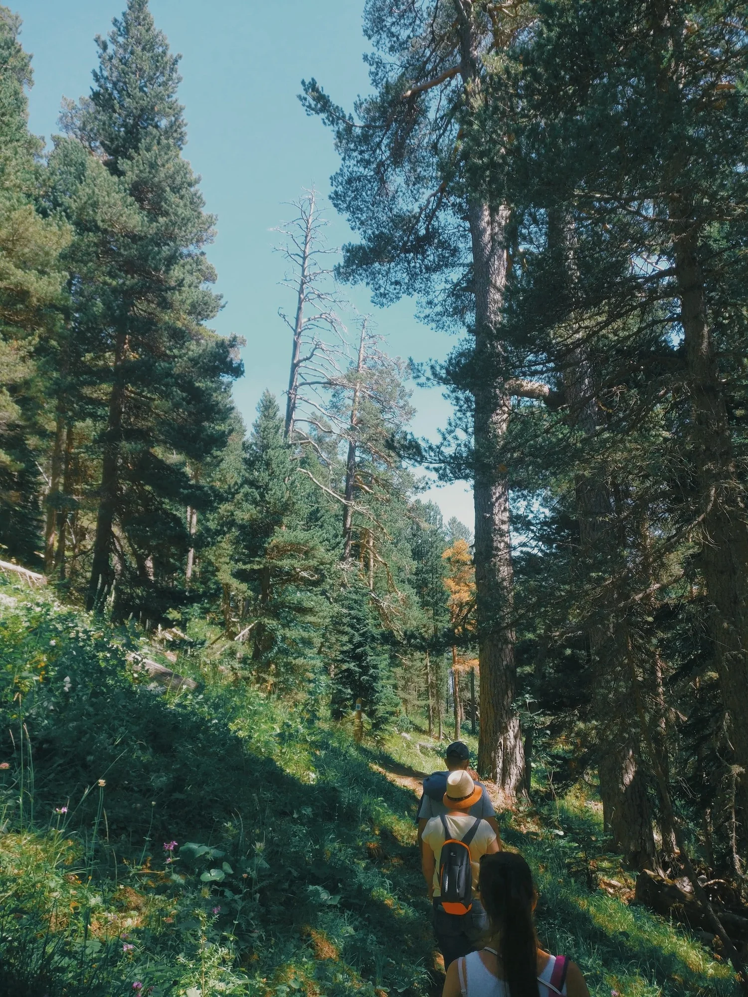 Natalie D. Richards, NYT Bestselling Author