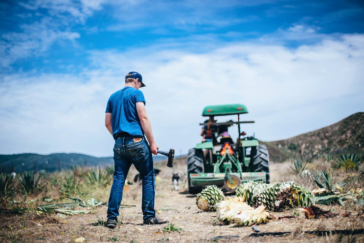 Join — California Agave Council