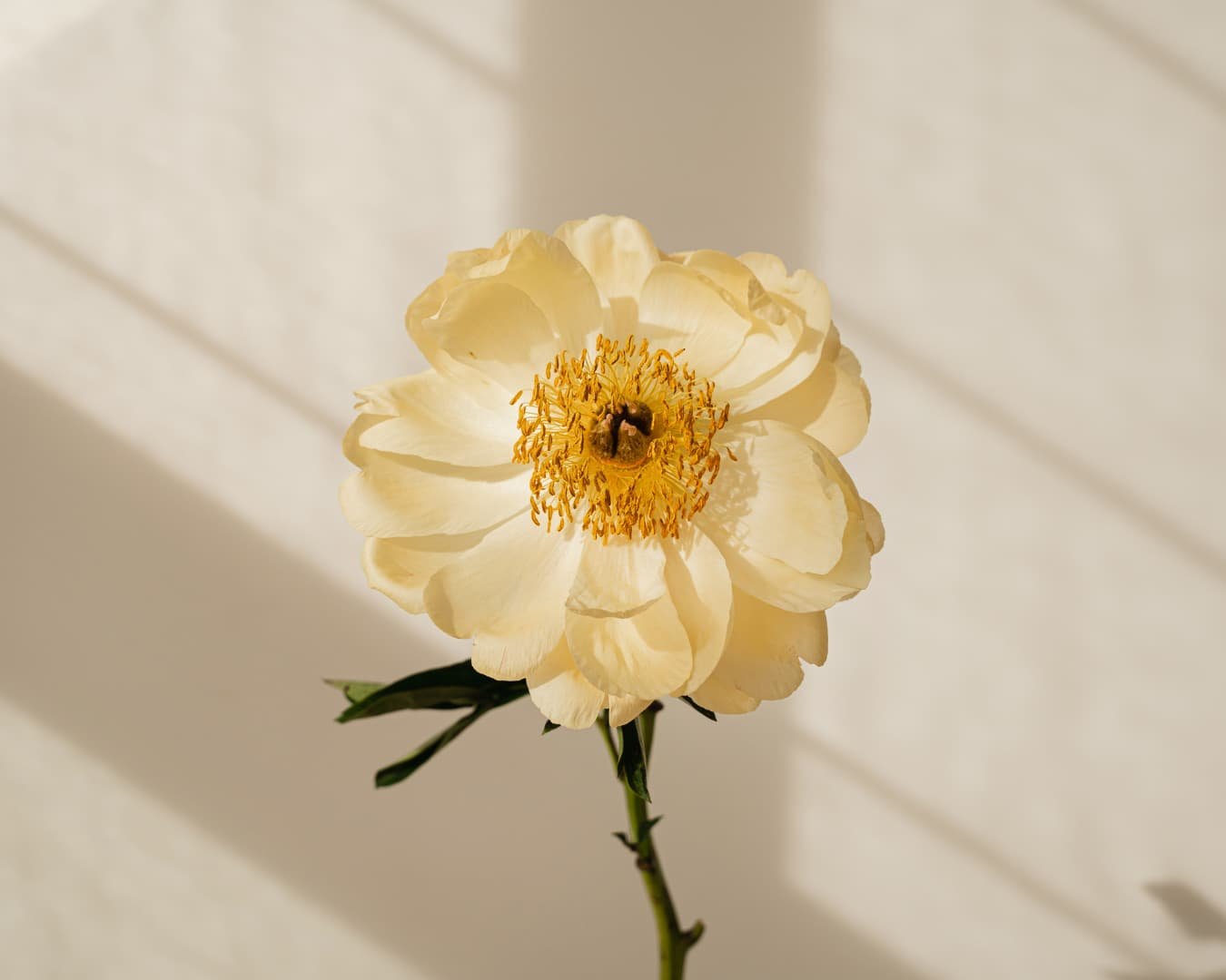 Postpartum Rage: Understanding + Overcoming Intense Anger