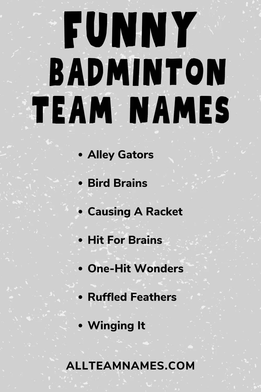 273 Badminton Team Names That Serve Up Excitement
