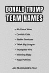187 Patriotic Team Names That Celebrate America With Style