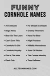 315 Original Cornhole Team Names You’ll Wish You Thought Of