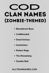 273 Best Clan Names For COD (Call Of Duty) - Organized By Theme