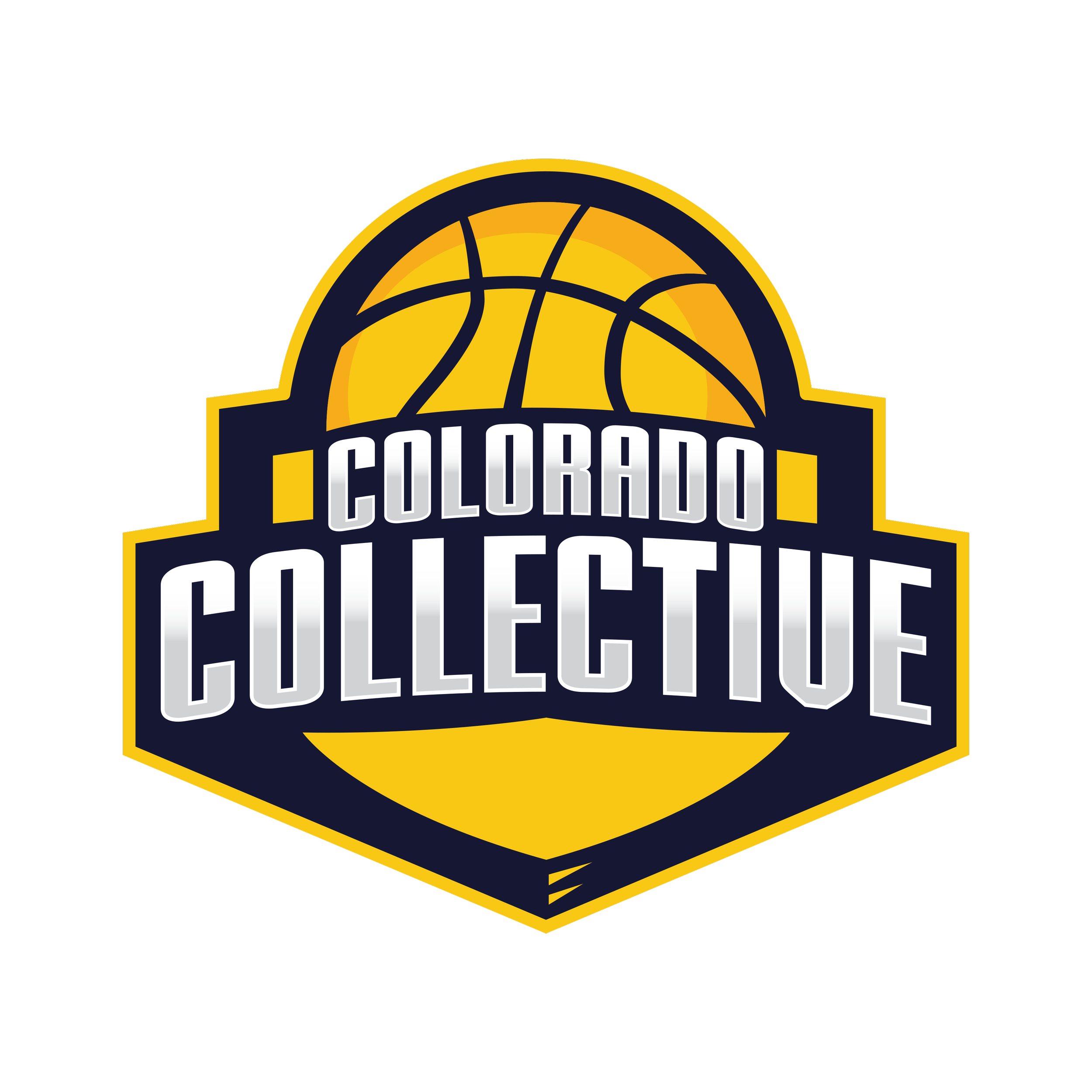 Coaches — Colorado Collective