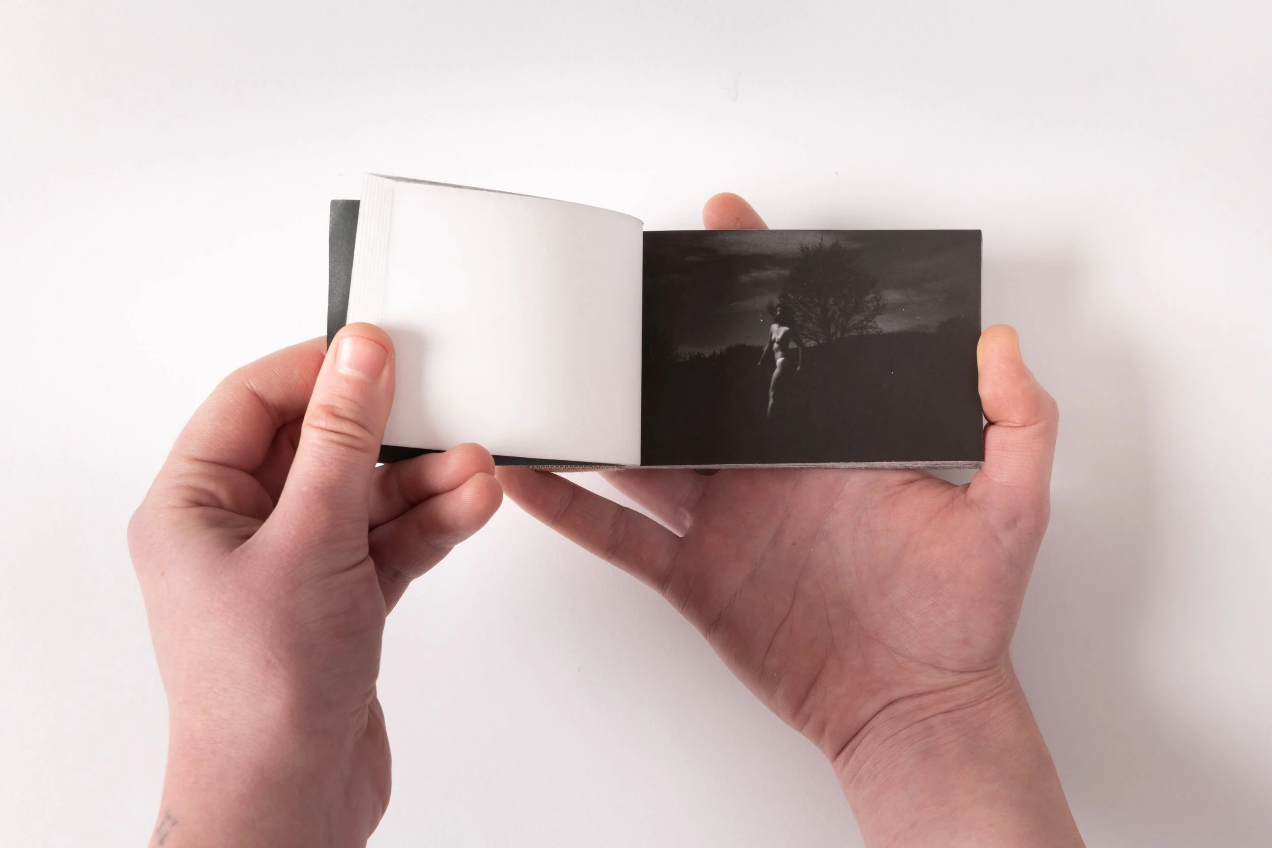 Works — Iris Erwin