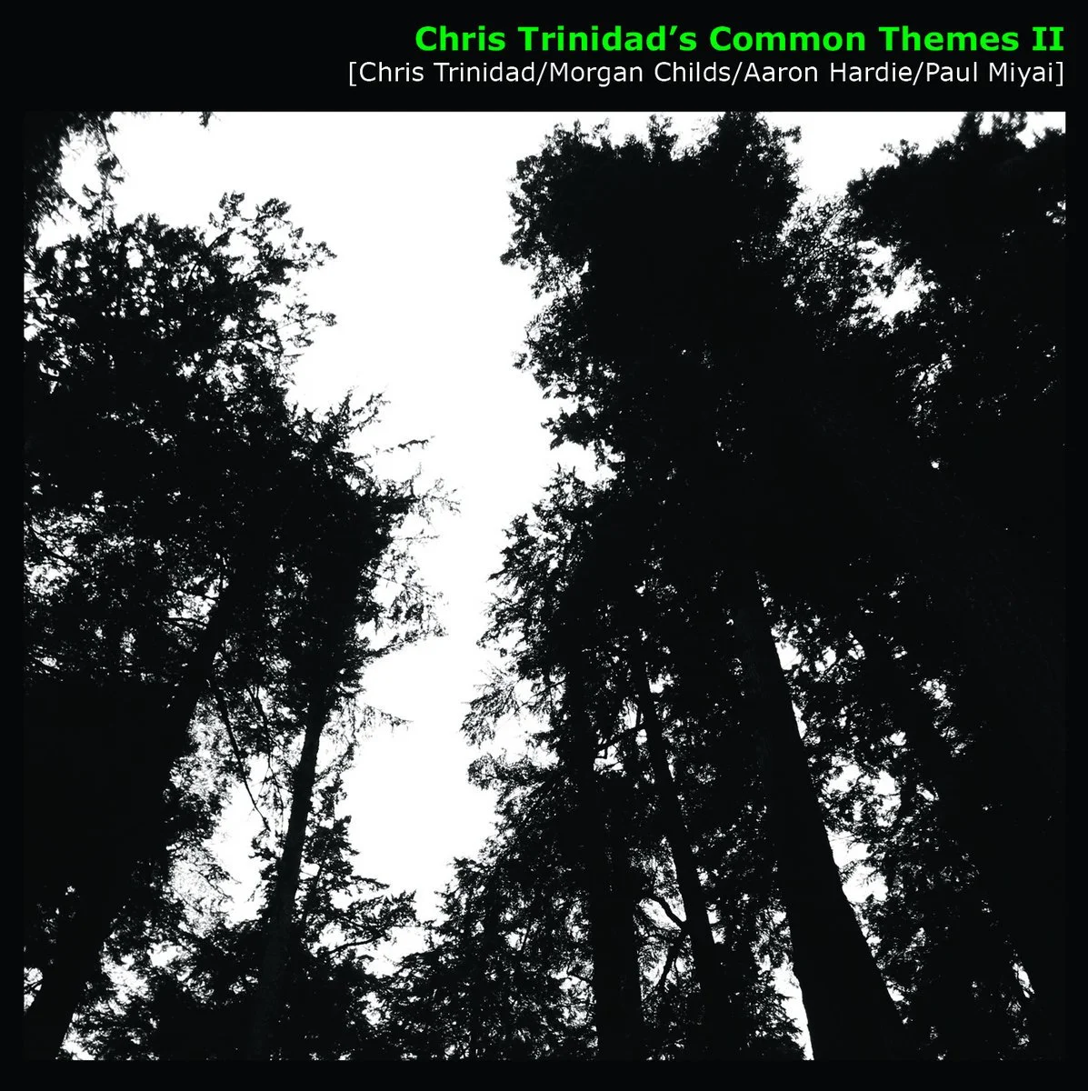 Chris Trinidad's Common Themes I (Digital) — Iridium Records