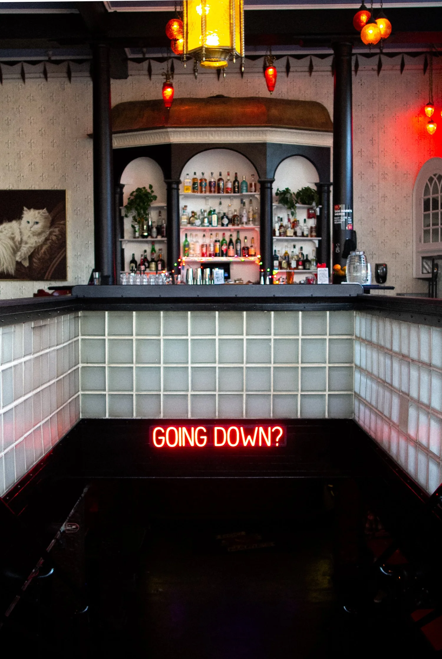 Gallery — Doc Marie's