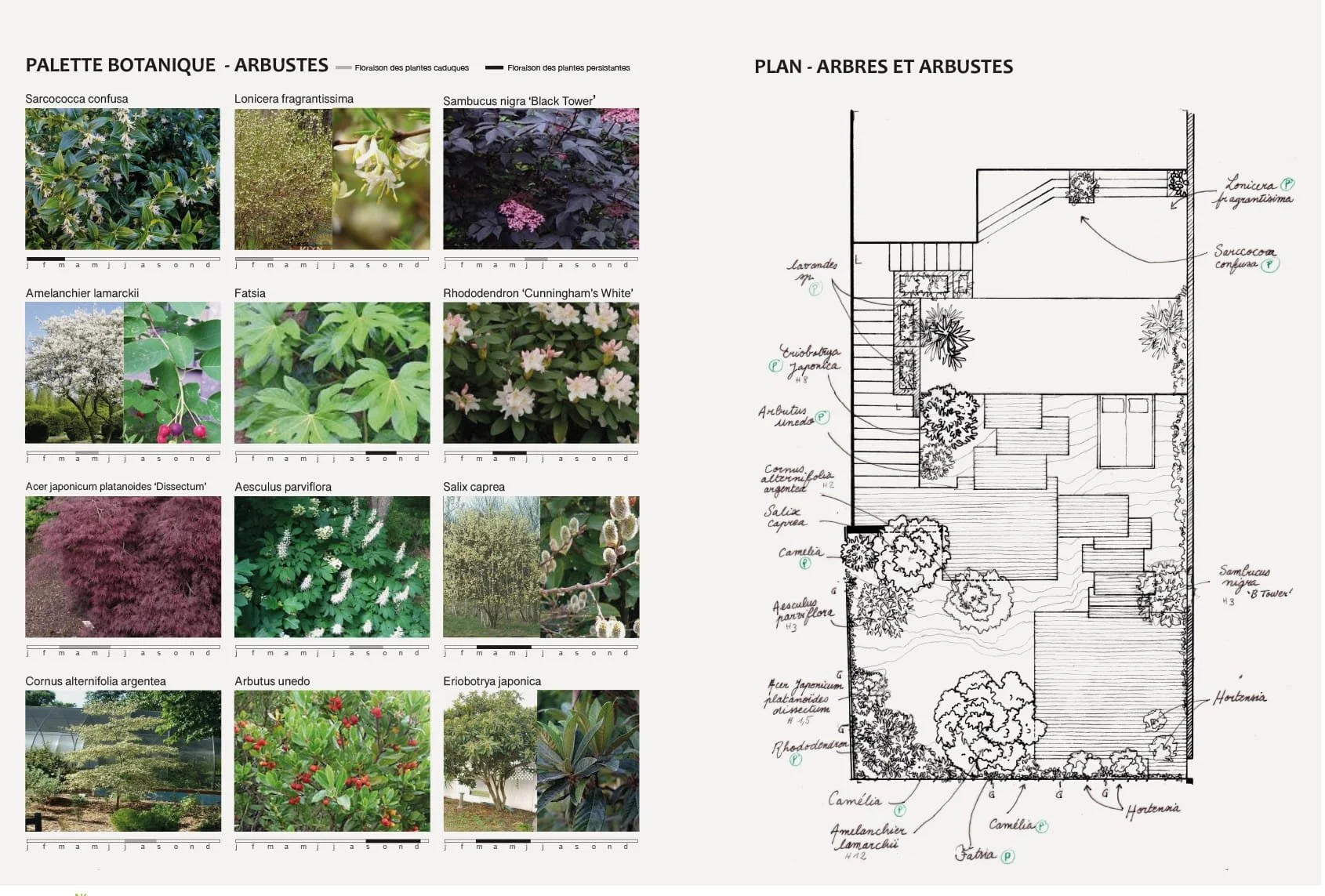 About 5 — National's Garden