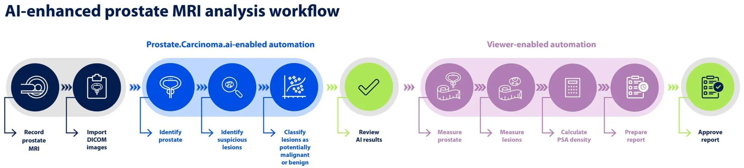 Prostate.Carcinoma.ai — FUSE-AI - Künstliche Intelligenz in der Radiologie
