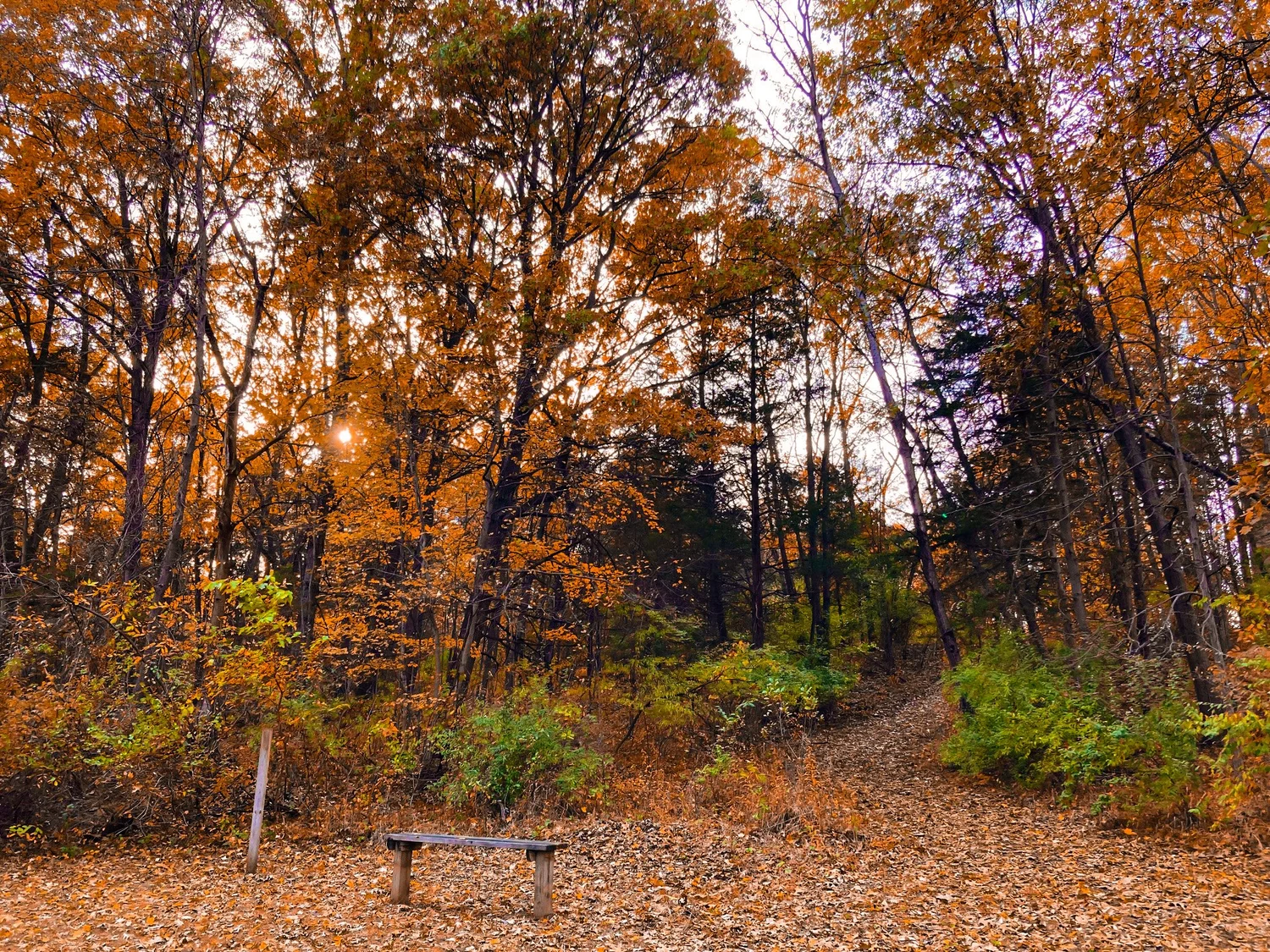 Special Features — Hamburg Fitness Center & Camp