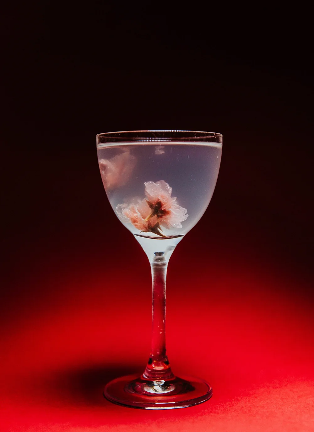 Standby - A Celebration of the Modern Cocktail