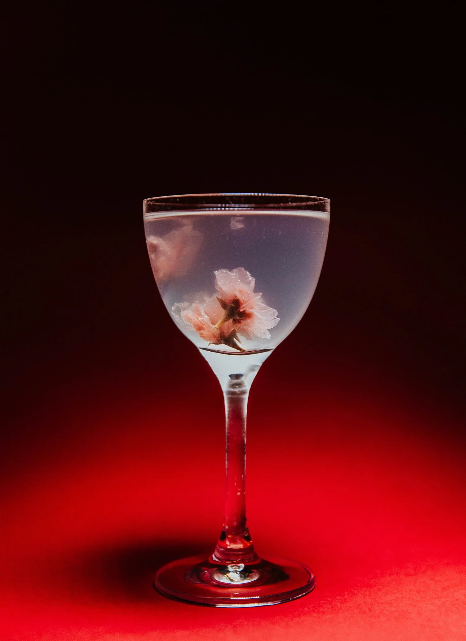 Standby - A Celebration of the Modern Cocktail
