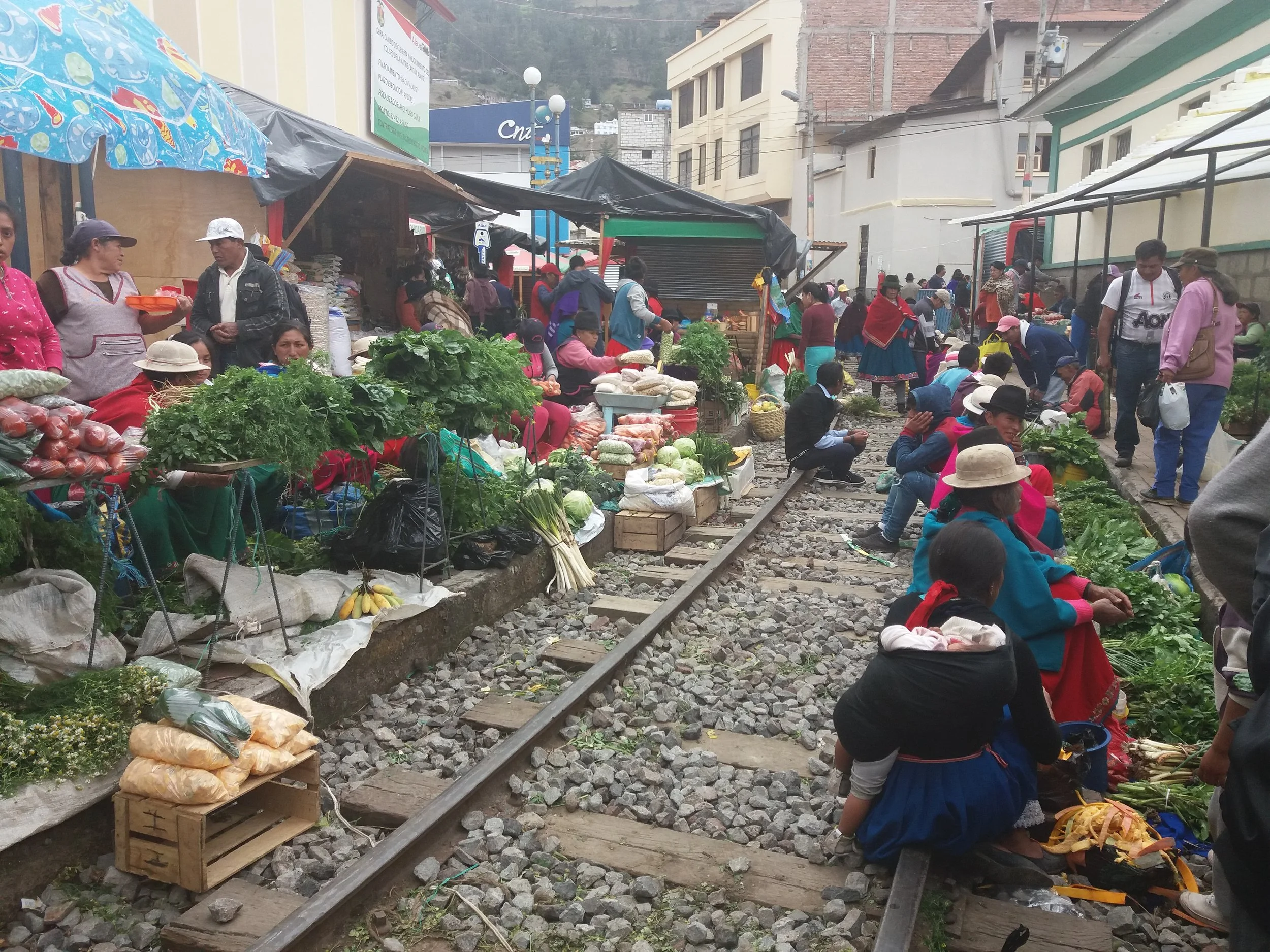 Tasting Guamote — Inti Sisa