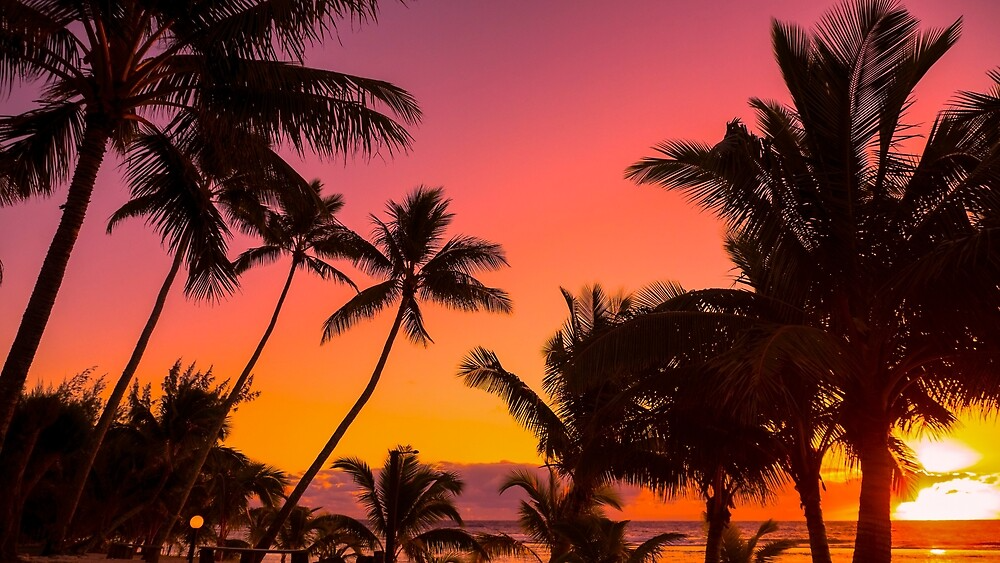 6 Reasons to Honeymoon in Rarotonga — Sea Change Villas Rarotonga