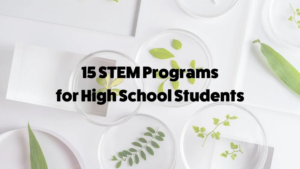 15 STEM Programs for High School Students — Inspirit AI