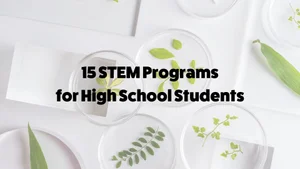 15 STEM Programs for High School Students — Inspirit AI