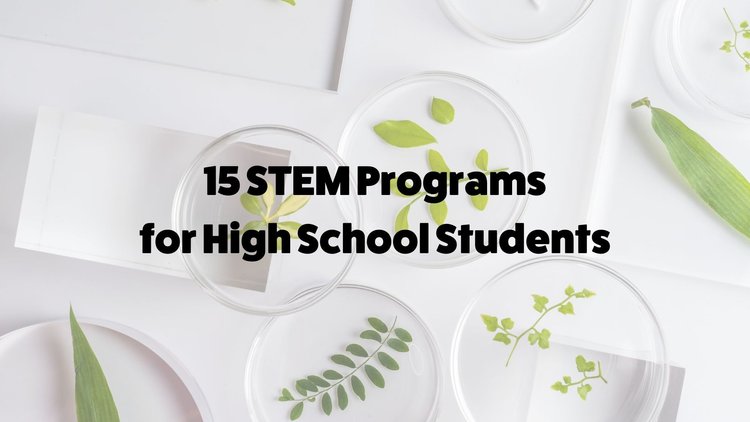 15 STEM Programs for High School Students — Inspirit AI