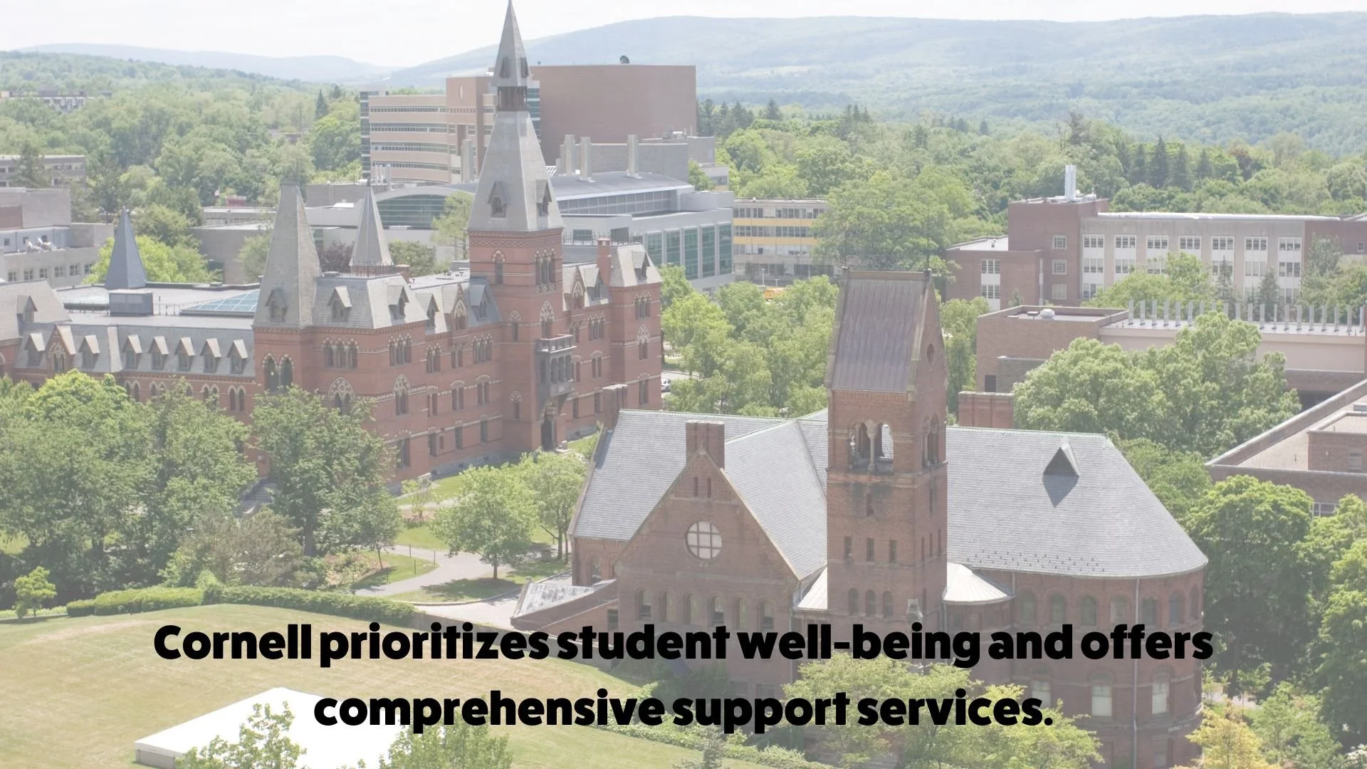 What is Cornell Known For? Distinguishing Factors of Big Red — Inspirit AI