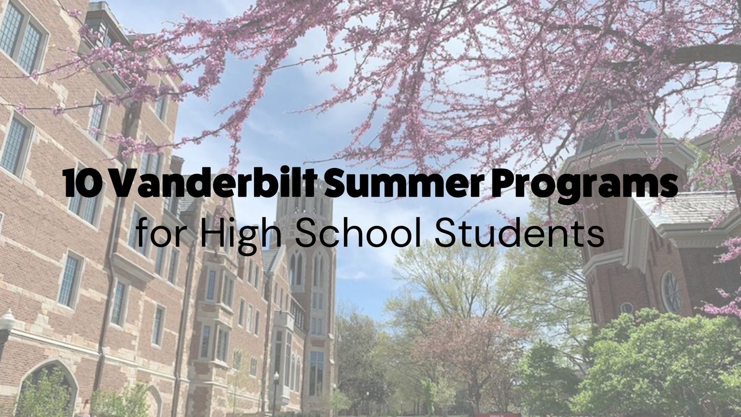 10 Vanderbilt Summer Programs for High School Students — Inspirit AI