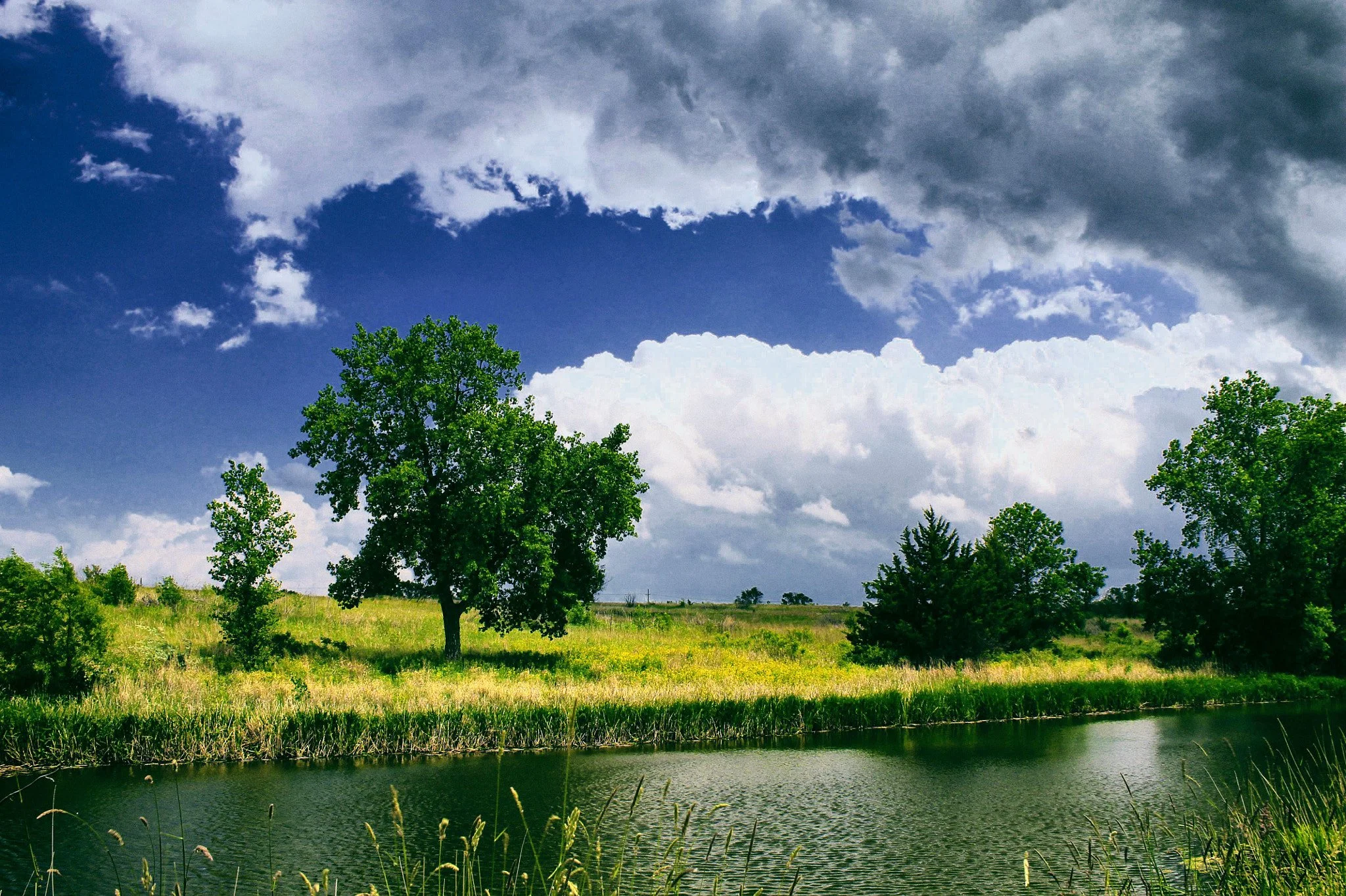 11 Best Coding Summer Camps — Inspirit AI