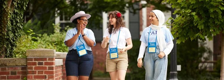 Yale Young Global Scholars: A Guide to the Prestigious Summer Program ...