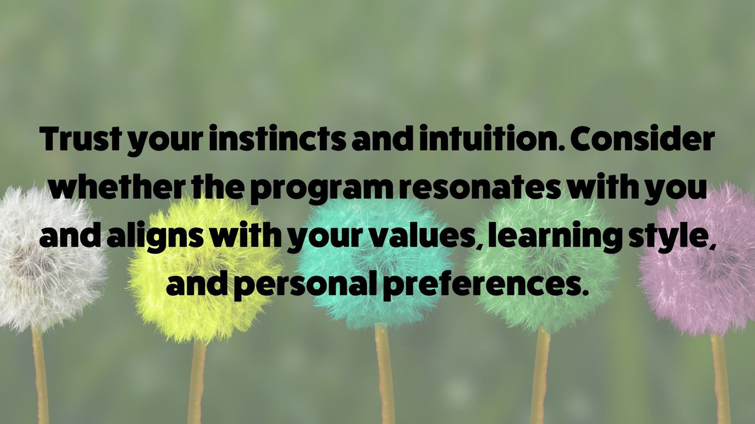 How to Find the Right Research Mentorship Program for Your Academic ...